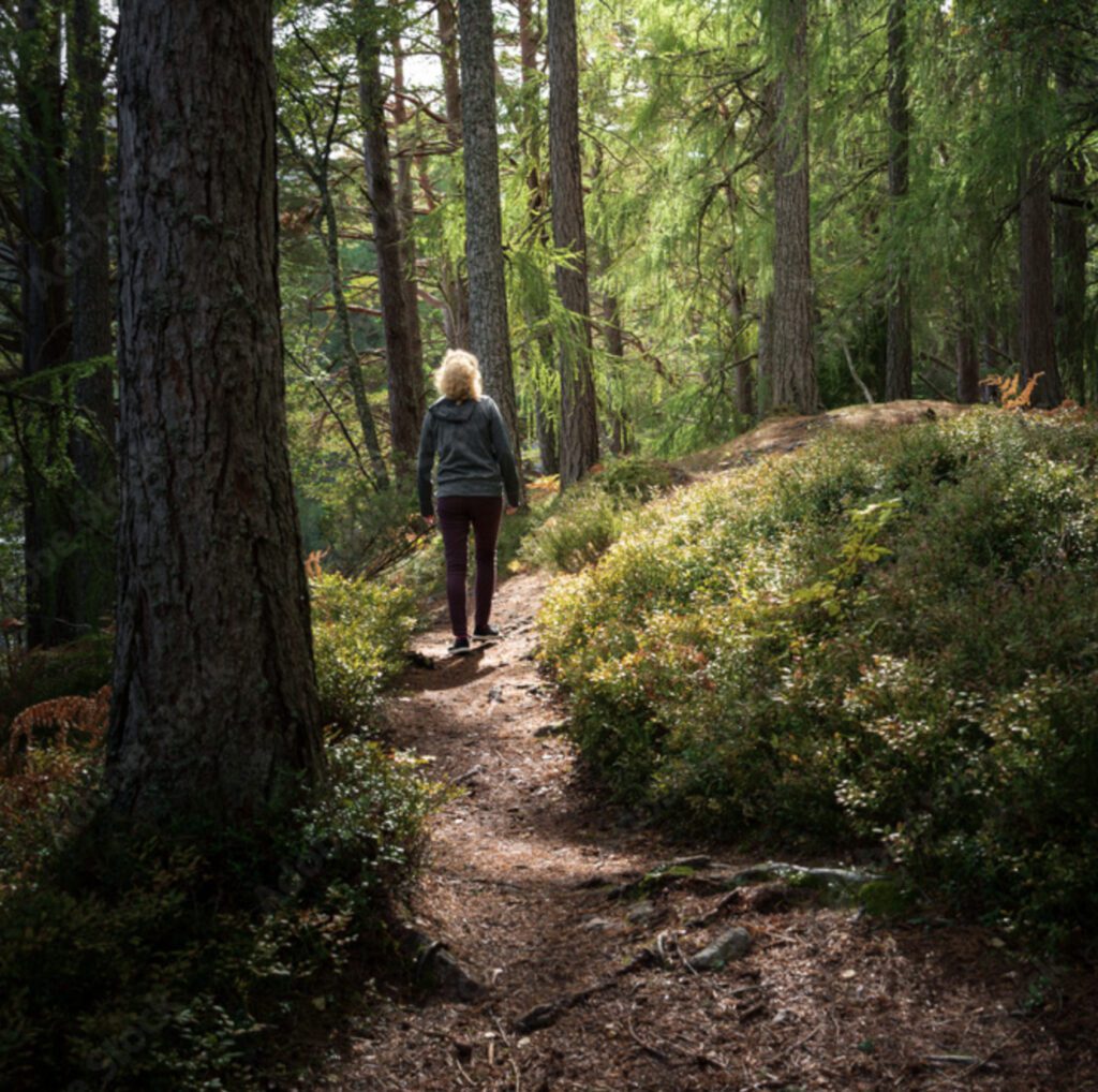 Path to Wellness - Into The Woods Wellness Fond du Lac